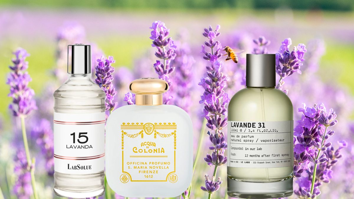 Découvrez Comment le Parfum de Lavande Peut Transformer Votre Quotidien ...